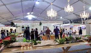 NOSTOS 2017 και ΣΑΜΙΩΤΙΚΟ ΚΡΑΣΙ - Εφημερίδα ΕΟΣΣ | Σαμία Άμπελος