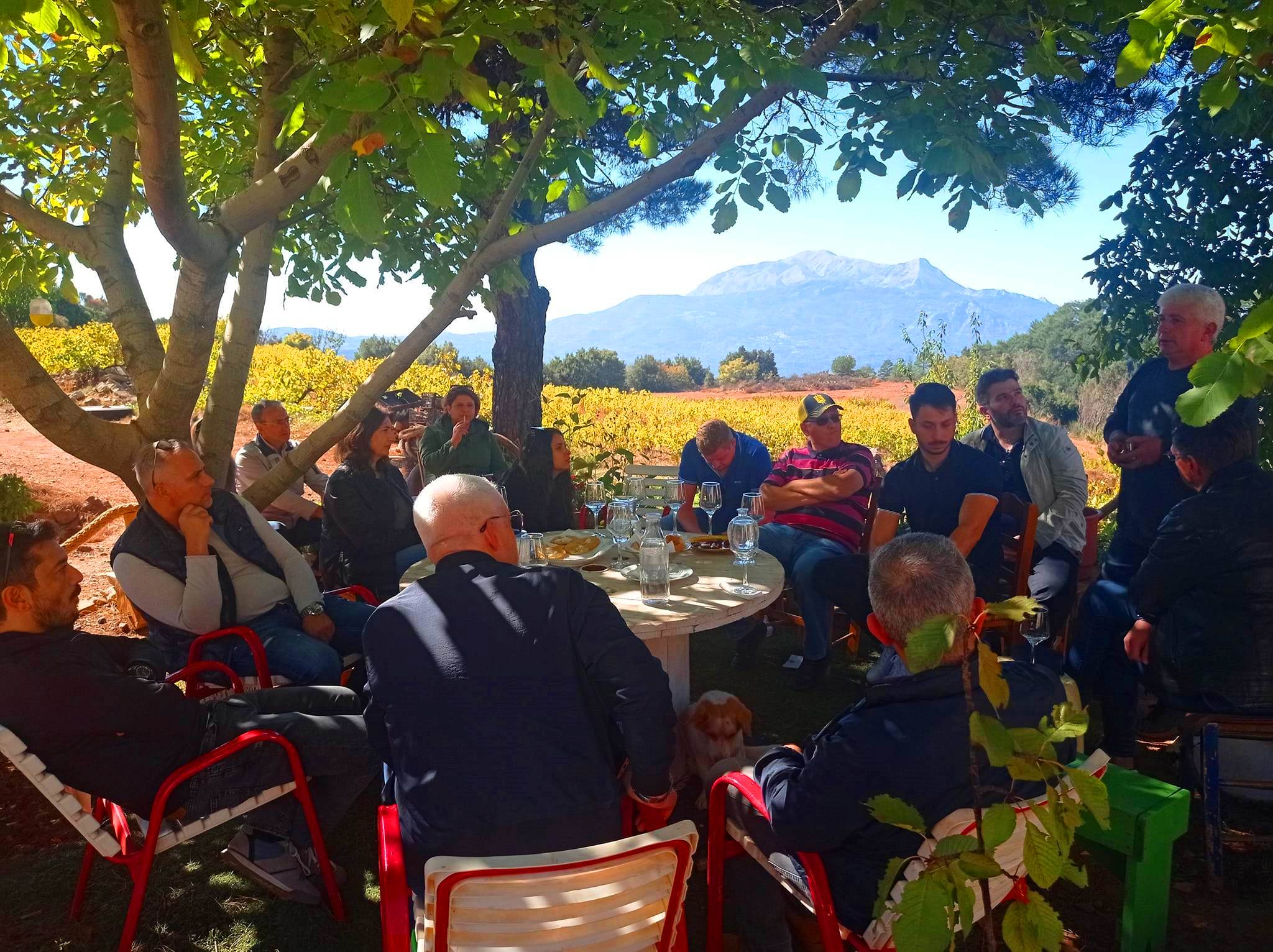 ΓΕΡΜΑΝΟΙ ΕΠΑΓΓΕΛΜΑΤΙΕΣ ΟΙΝΟΥ ΕΔΡΑΙΩΝΟΥΝ ΤΗ ΣΥΝΕΡΓΑΣΙΑ ΤΟΥΣ ΜΕ ΕΟΣ ΣΑΜΟΥ ...