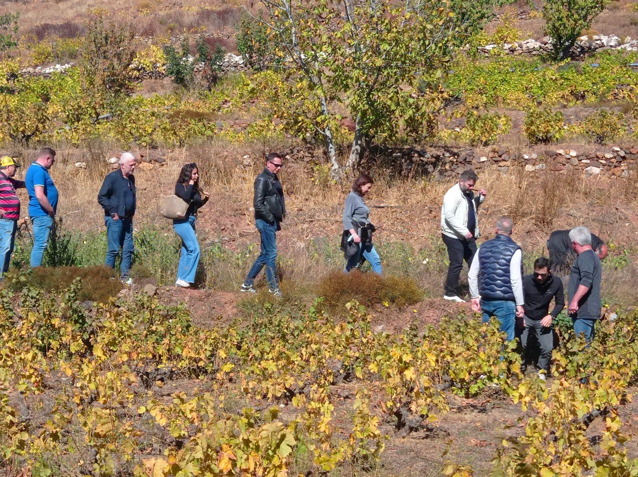 ΓΕΡΜΑΝΟΙ ΕΠΑΓΓΕΛΜΑΤΙΕΣ ΟΙΝΟΥ ΕΔΡΑΙΩΝΟΥΝ ΤΗ ΣΥΝΕΡΓΑΣΙΑ ΤΟΥΣ ΜΕ ΕΟΣ ΣΑΜΟΥ ...