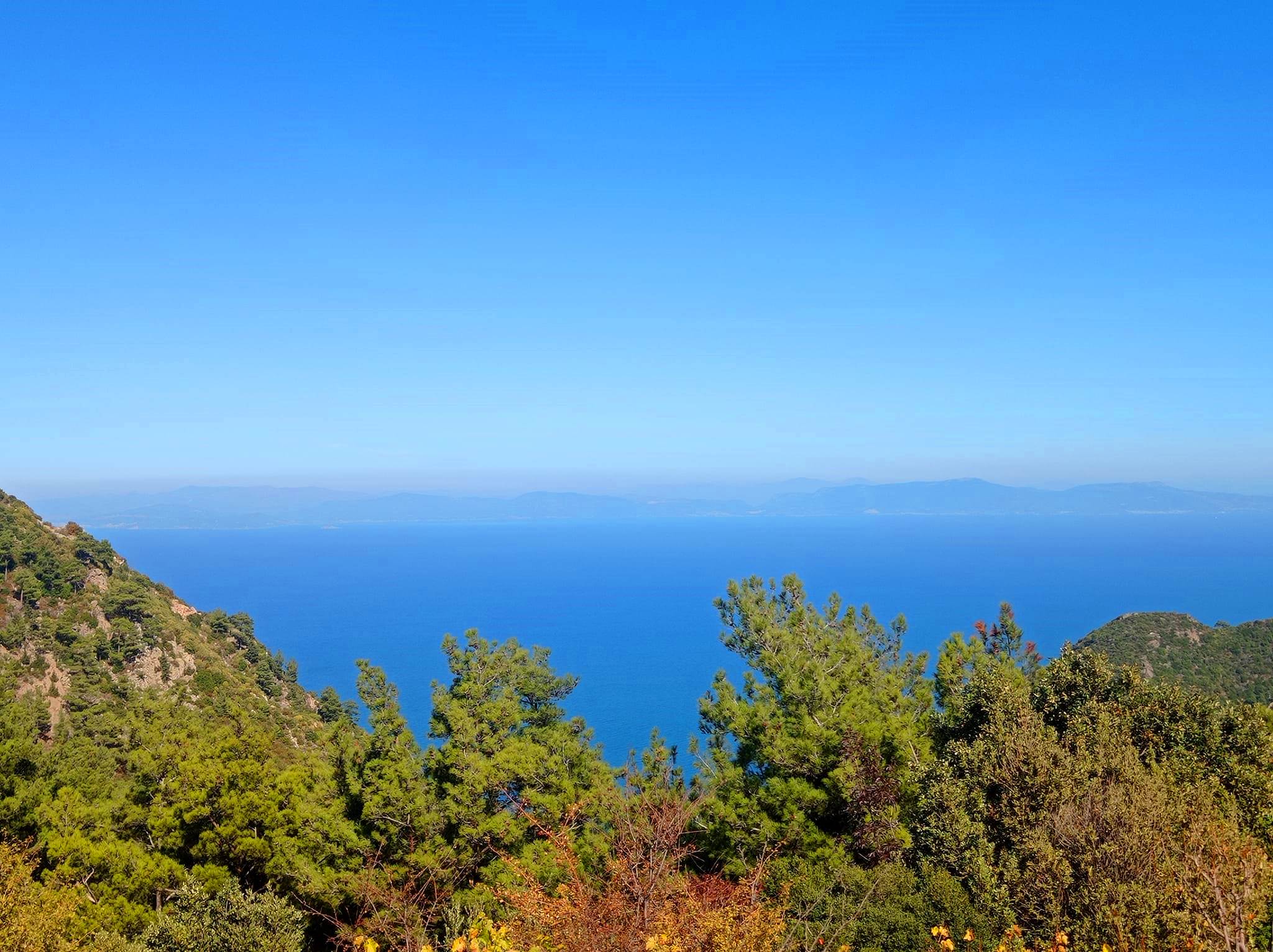 ΜΕΤΑΞΥ ΟΥΡΑΝΟΥ ΚΑΙ ΓΗΣ - Εφημερίδα ΕΟΣΣ | Σαμία Άμπελος