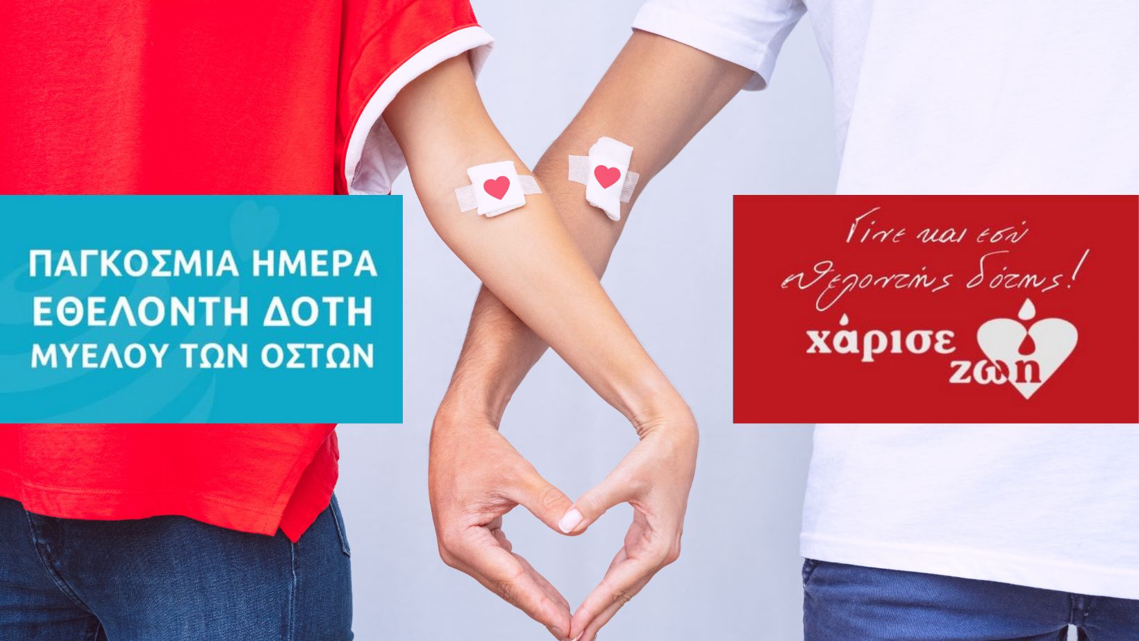 Κάνε το βήμα. Γίνε ΔΟΤΗΣ ΖΩΗΣ! - Εφημερίδα ΕΟΣΣ | Σαμία Άμπελος