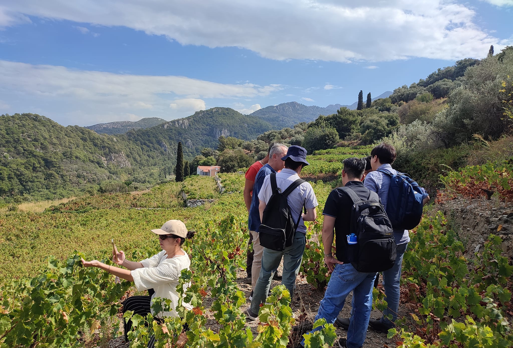 «Ταξίδι» στο σαμιώτικο μοσχάτο για Ασιάτες Wine Ambassadors - Εφημερίδα ...